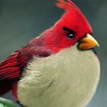 Cutedrop » Angry Birds Park